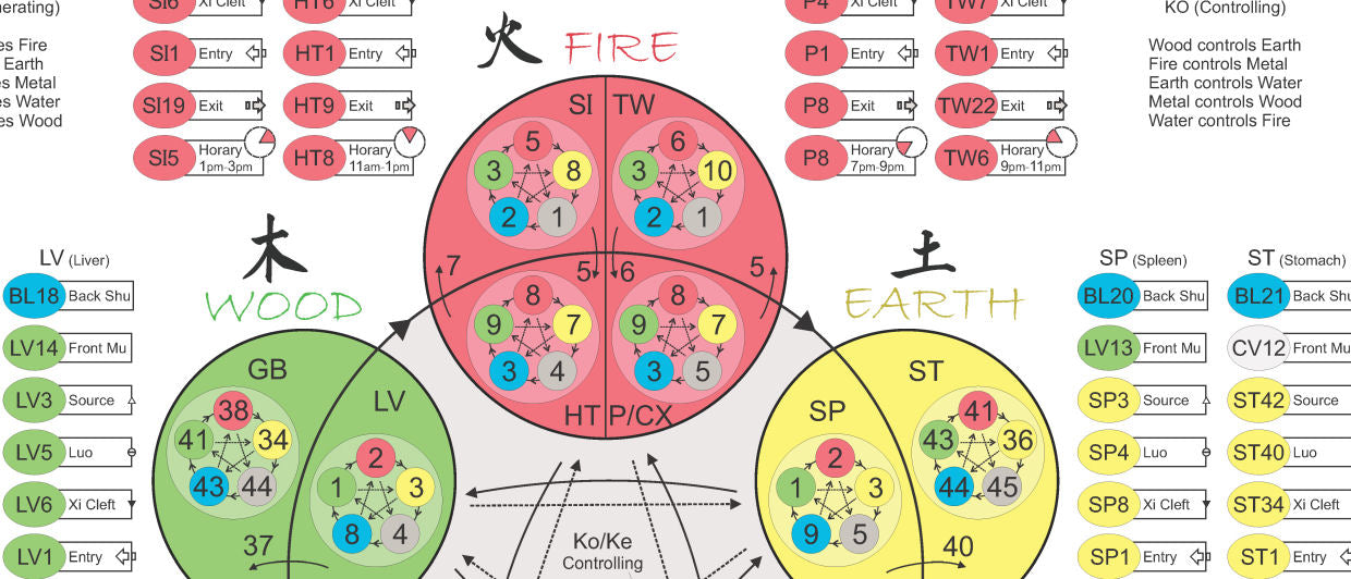The Illustrated Atlas of Acupuncture Points – Body of Elements