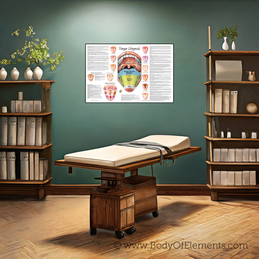 Chinese Tongue Diagnosis Poster Ayurvedic Map – Body of Elements
