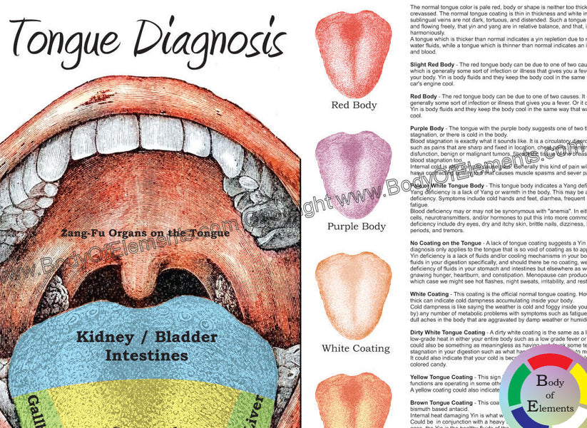 Chinese Tongue Diagnosis Poster Ayurvedic Map – Body of Elements