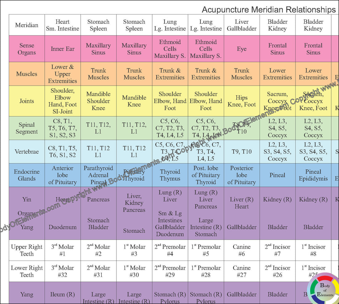 Acupuncture Meridian Dental Chart 8.5" X 11" – Body of Elements
