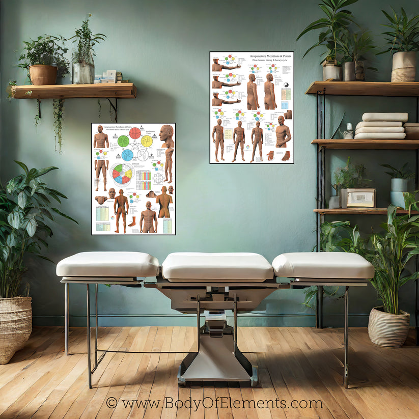 Acupuncture Meridian Points and Pathways Poster – Body of Elements