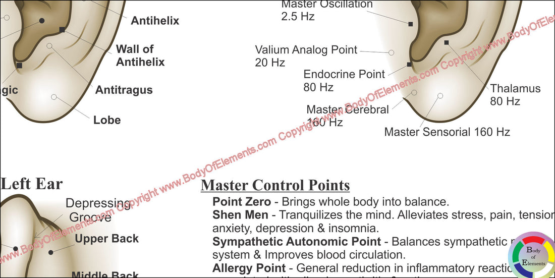 Chinese System of Auricular Ear Acupuncture Poster – Body of Elements