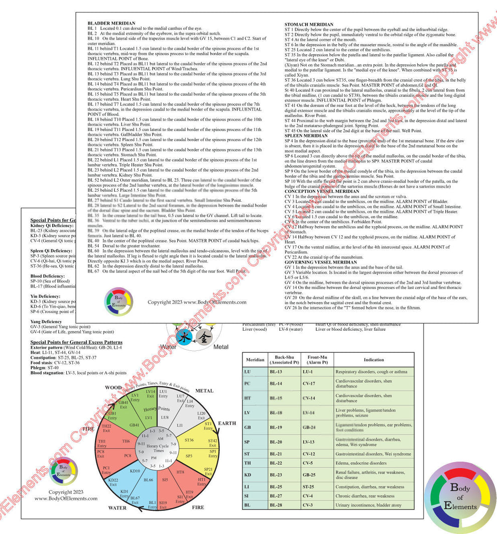 Dog Acupuncture Chart Set 8.5" X 11" – Body of Elements
