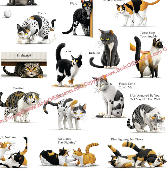 Cat Body Language Poster – Illustrated Guide to Feline Emotions & Beha ...