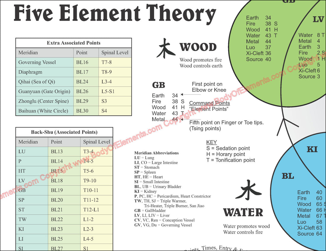 Color Five Element Acupuncture Points Poster – Body of Elements