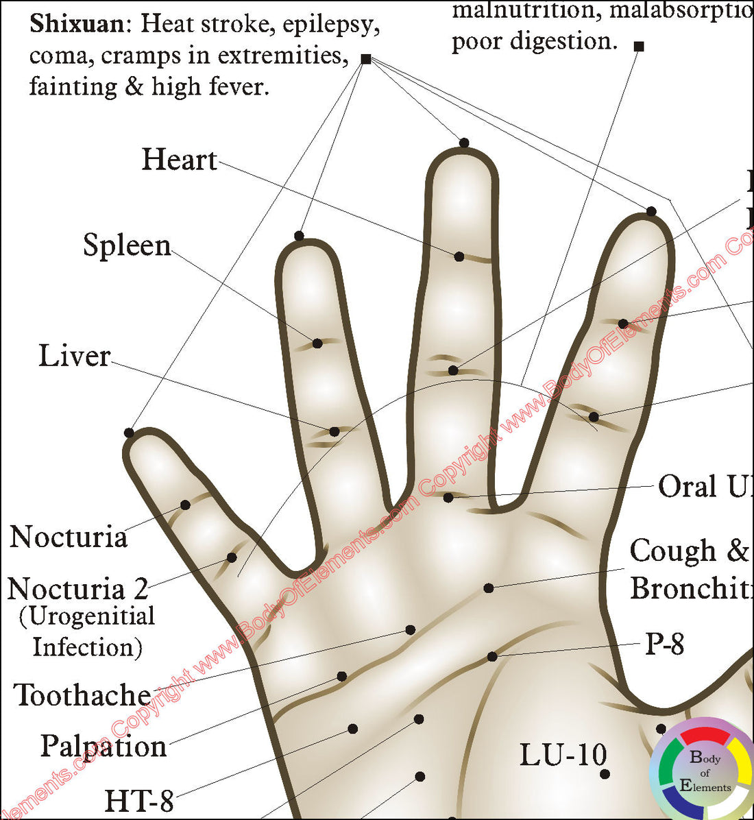 Chinese and Korean Hand Acupuncture Chart 8.5" X 11" – Body of Elements