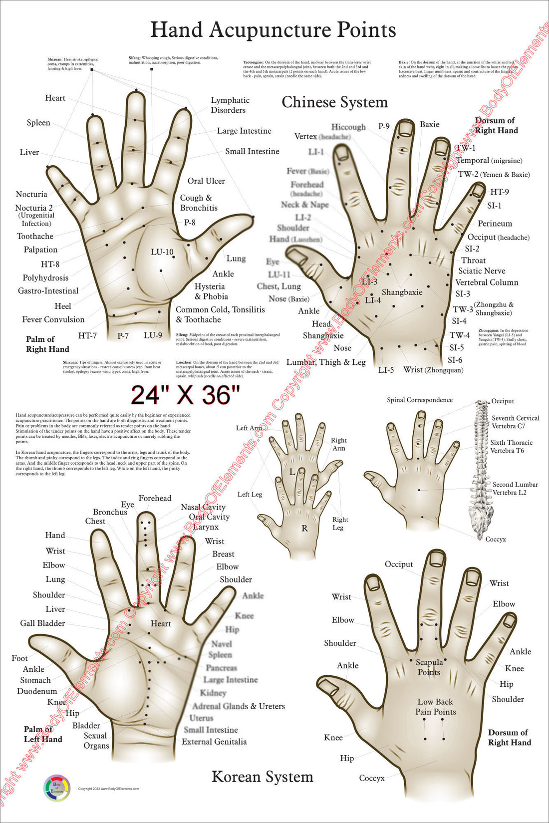 Chinese and Korean Hand Therapy Hand Acupuncture Poster – Body of Elements