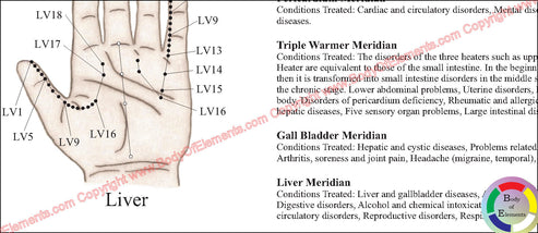 Korean Hand Therapy Meridian Chart 8.5" X 11" – Body of Elements