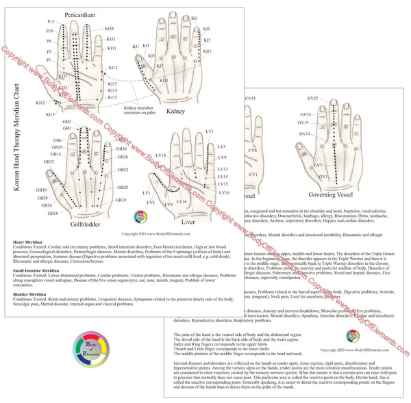 Korean Hand Therapy Meridian Chart 8.5" X 11" – Body of Elements