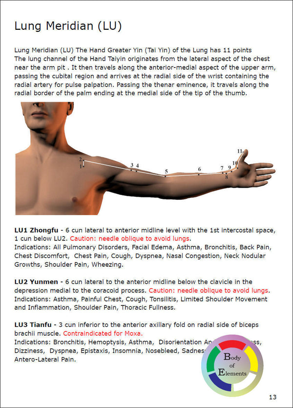 The Illustrated Atlas of Acupuncture Points Guide to Meridians and For ...
