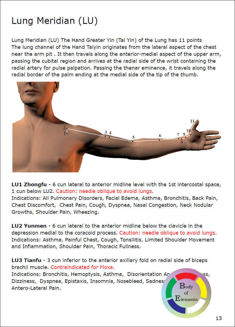 The Illustrated Atlas of Acupuncture Points Guide to Meridians and For ...