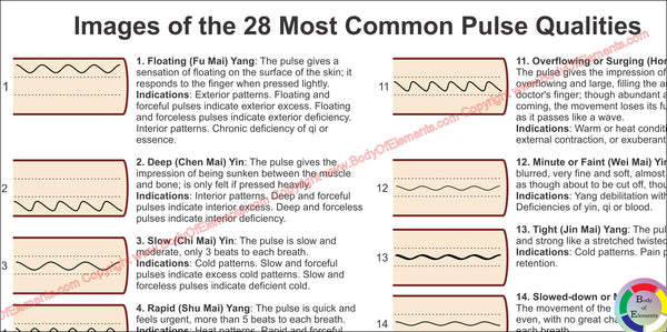 Pulse Diagnosis Acupuncture Poster – Body of Elements