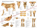 Cow Skeletal Bones Anatomy Poster 18" X 24" – Body of Elements