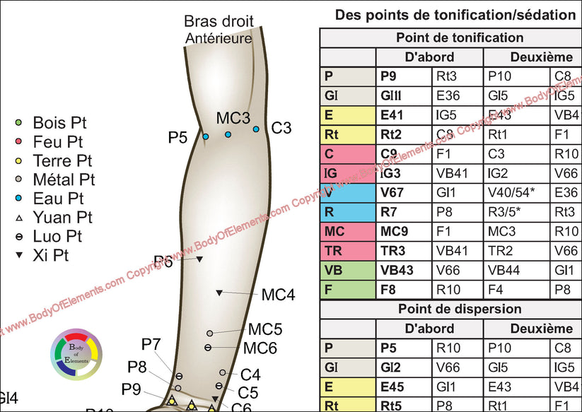French Five Elements of Acupuncture Points Poster – Body of Elements