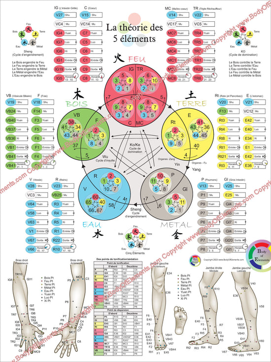 French Five Elements of Acupuncture Points Poster – Body of Elements