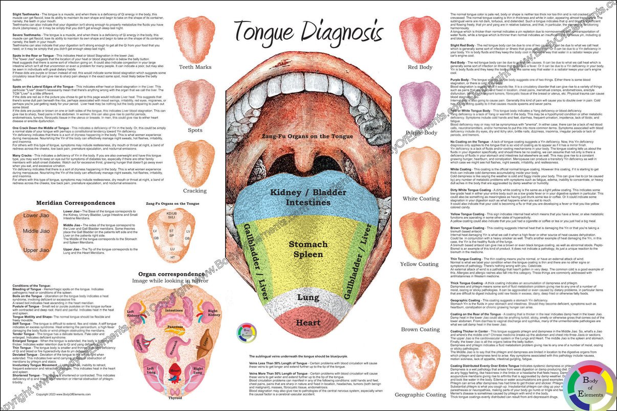 Chinese Tongue Diagnosis Poster Ayurvedic Map – Body of Elements