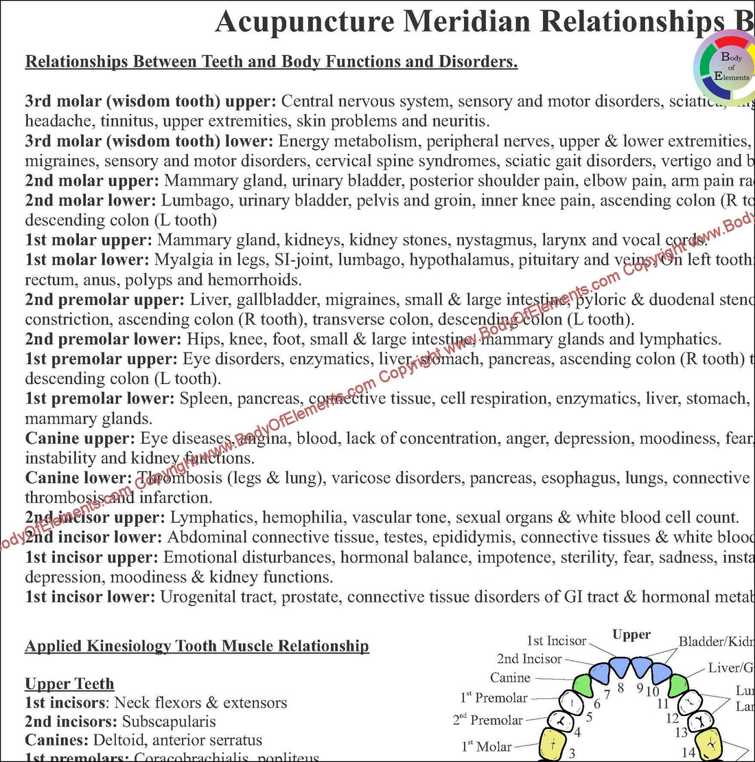 Acupuncture Meridian Dental Chart 8.5" X 11" – Body of Elements