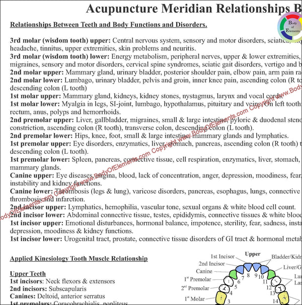 Acupuncture Meridian Dental Chart 8.5" X 11" – Body of Elements