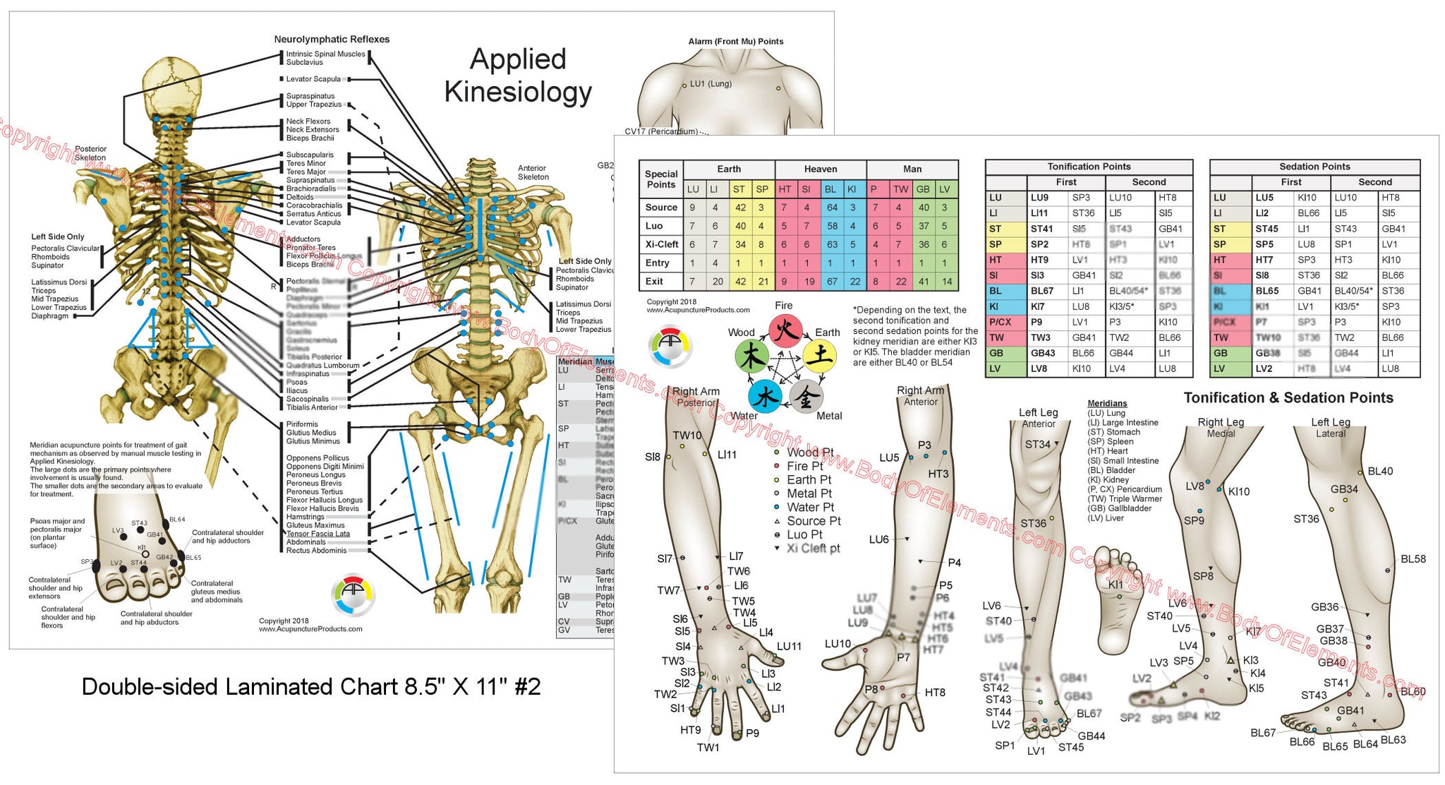 Applied Kinesiology Chart Set 8.5 " X 11" – Body of Elements