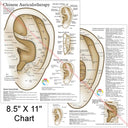 Chinese System of Auricular Ear Acupuncture Chart 8.5" X 11" – Body of ...