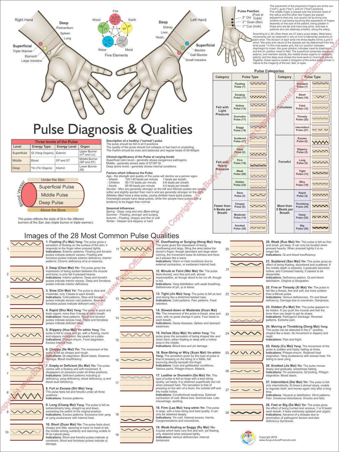 Pulse Diagnosis Acupuncture Poster – Body of Elements