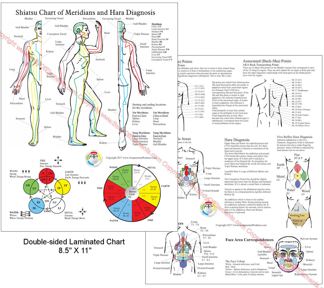 Shiatsu Chart of Meridians and Hara Diagnosis 8.5" X 11" – Body of Elements
