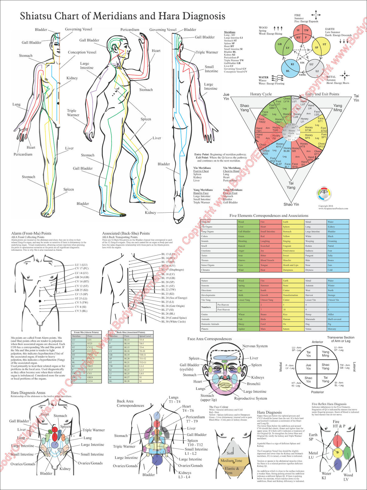 Shiatsu Chart of Meridians and Hara Diagnosis – Body of Elements