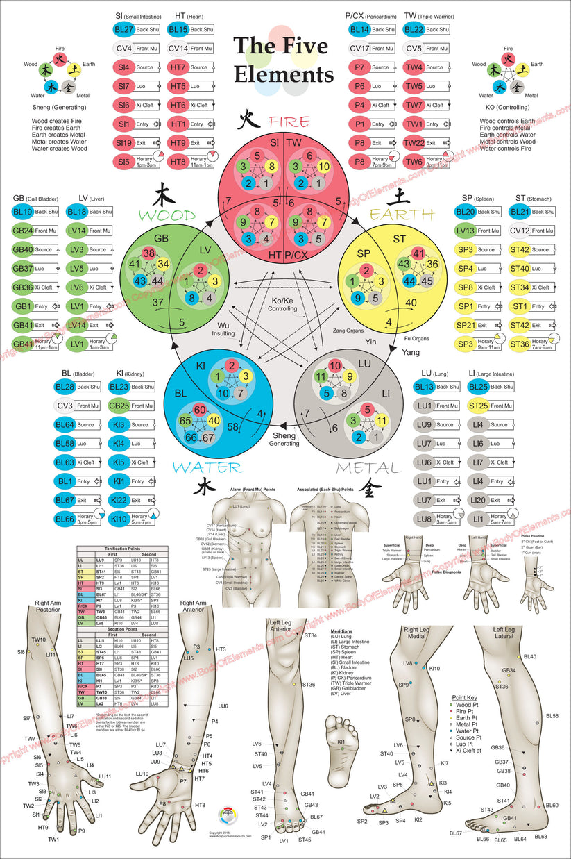 Five Elements of Acupuncture Points Poster – Body of Elements